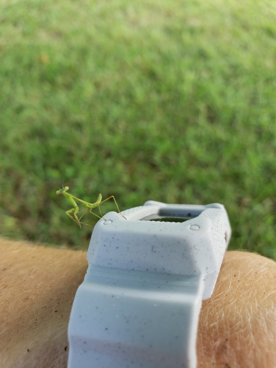 Walking a Thin Line | Running the Race